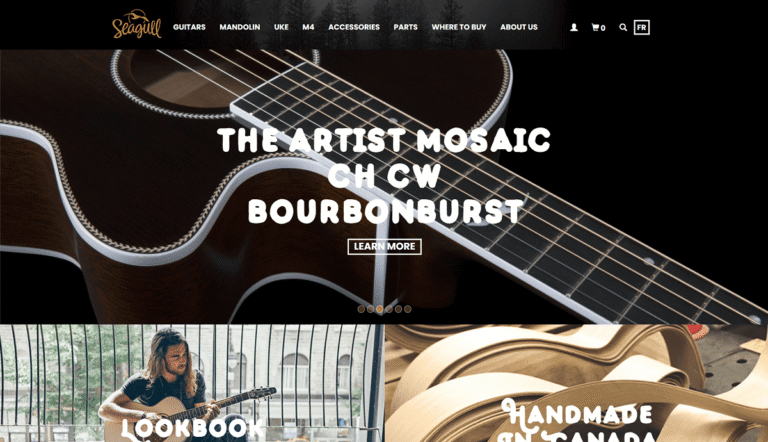 10+ Best Canadian Guitar Brands That Sound Good