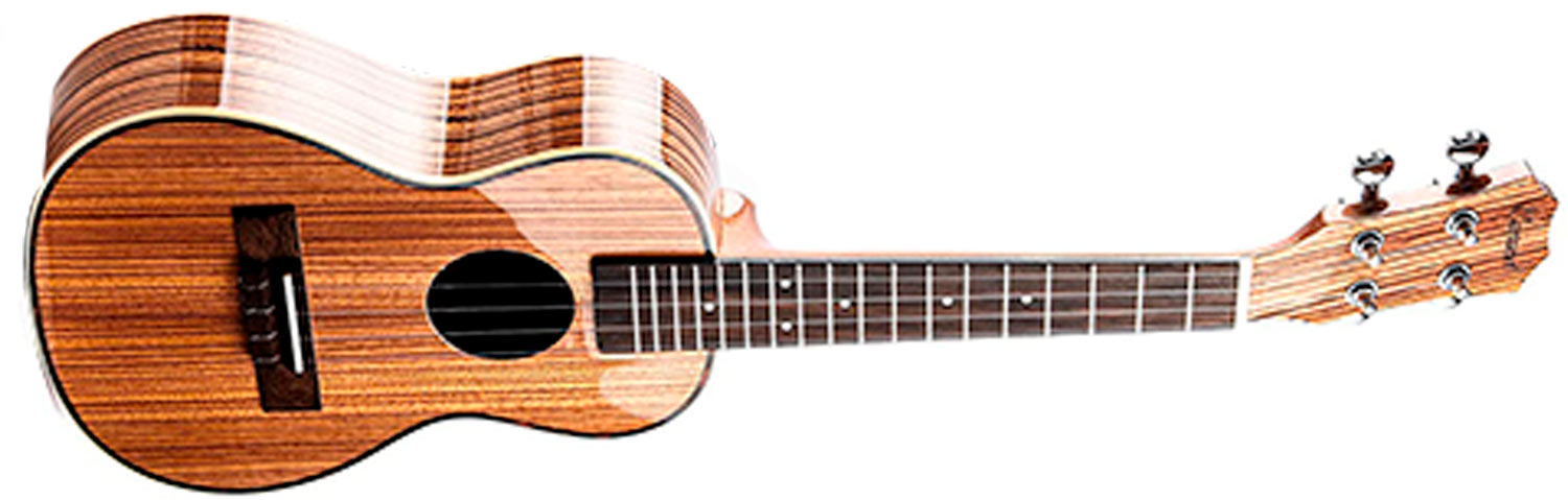 17 Best Tenor Ukuleles That Sound Really Good
