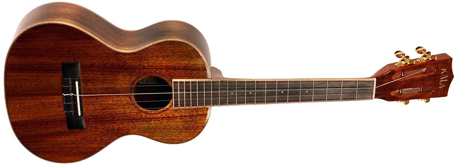 17 Best Tenor Ukuleles That Sound Really Good