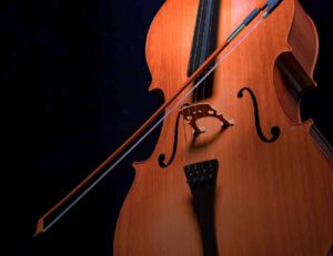 100+ Hilarious Cello Memes, Jokes & Puns That'll Resonate With Every ...