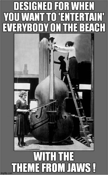 100+ Hilarious Cello Memes, Jokes & Puns That'll Resonate With Every ...