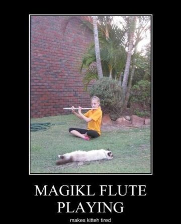 107+ Flute Memes, Jokes & Puns That'll Make Flutists Laugh Out Loud