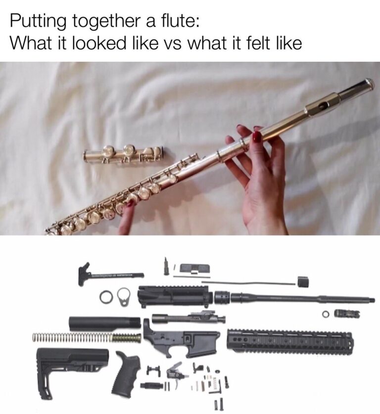 107+ Flute Memes, Jokes & Puns That'll Make Flutists Laugh Out Loud
