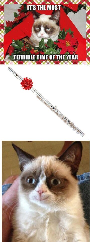 107+ Flute Memes, Jokes & Puns That'll Make Flutists Laugh Out Loud