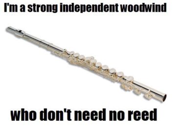 107+ Flute Memes, Jokes & Puns That'll Make Flutists Laugh Out Loud