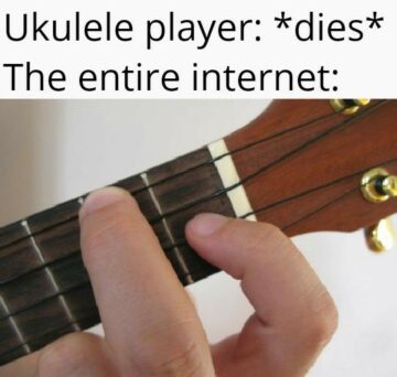 120+ Ukulele Memes, Jokes & Puns That'll Make Every Uke Player Laugh