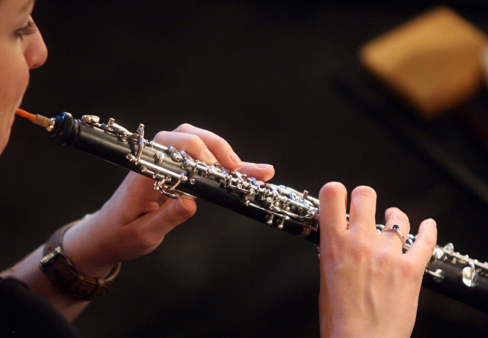 115+ Oboe Memes, Jokes & Puns That'll Make Every Double Reed Player Guffaw