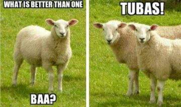 115+ Tuba Memes, Jokes & Puns That'll Make You Laugh