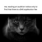 115+ Opera Singer Memes, Jokes & Puns That'll Leave Laughing