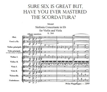 101+ Viola Memes, Jokes & Puns That'll Strike A Note With Viola Players