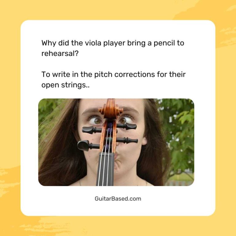 101+ Viola Memes, Jokes & Puns That'll Strike A Note With Viola Players