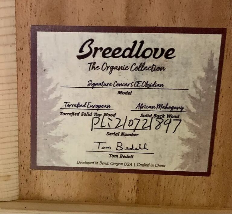 17 Best Breedlove Guitars Of All Time | Guitar Based