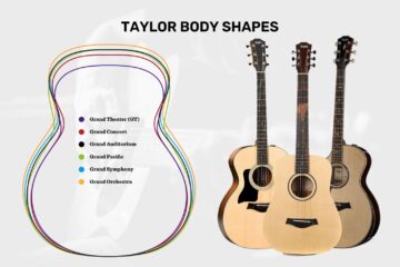 17 Best Taylor Guitars Of All Time | Guitar Based
